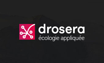 drosera :: Drosera écologie appliquée SA : Valais